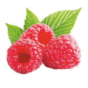 Natural Flavours Manufacturers In India: Powder & Liquid Range