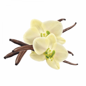 Natural Flavours Manufacturers In India: Powder & Liquid Range